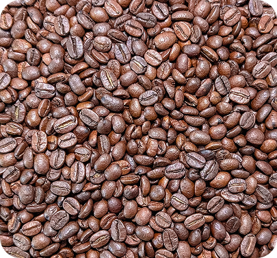 Arabica (Americas Blend) – Gulf Coast & Co.